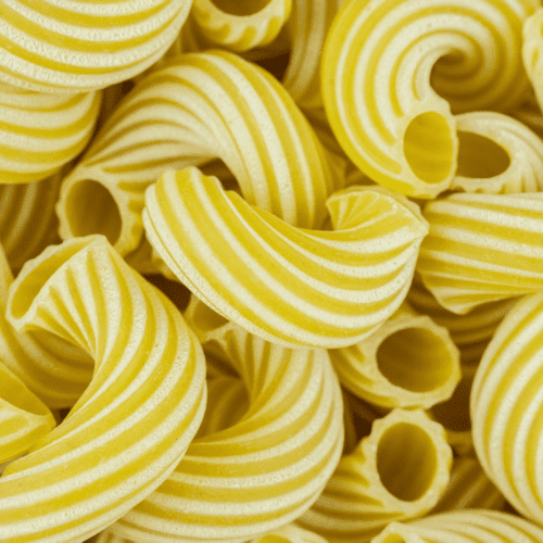12 Best Pasta for Mac and Cheese - Happy Muncher