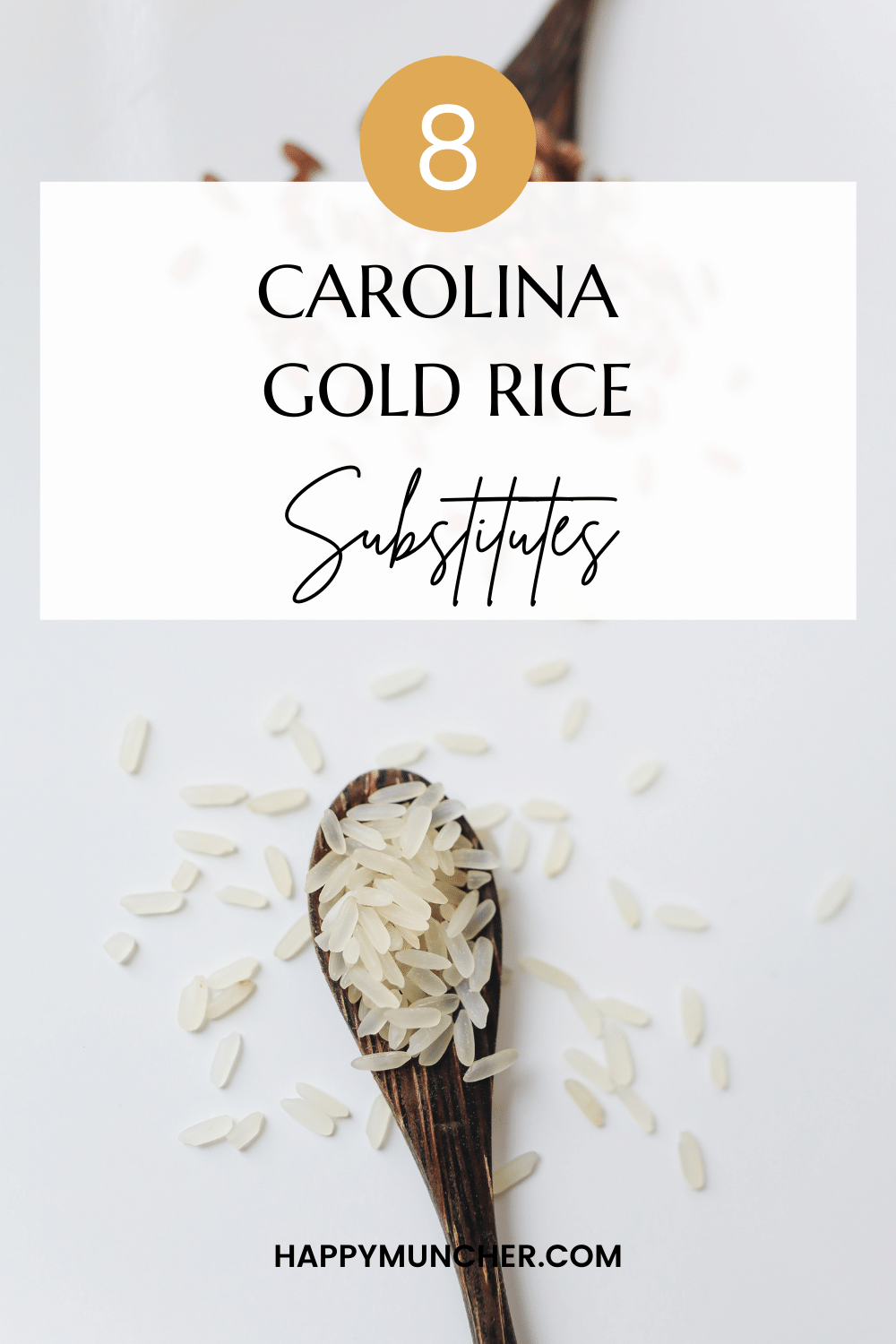 8 Substitutes for Carolina Gold Rice - Happy Muncher