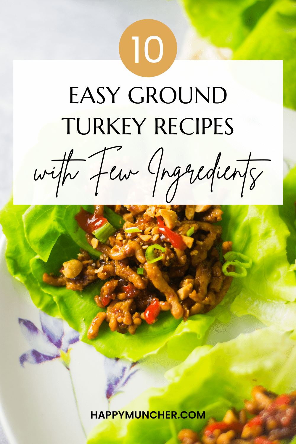 10 Easy Ground Turkey Recipes with Few Ingredients - Happy Muncher
