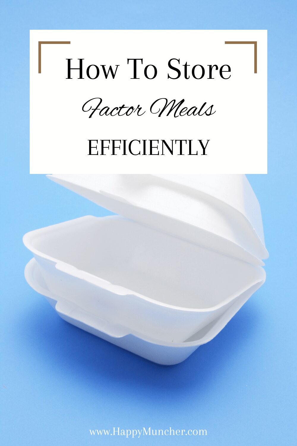 How to Store Factor Meals (Answered) - Happy Muncher