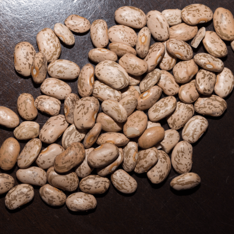 The 10 Best Substitutes for Butter Beans - Happy Muncher