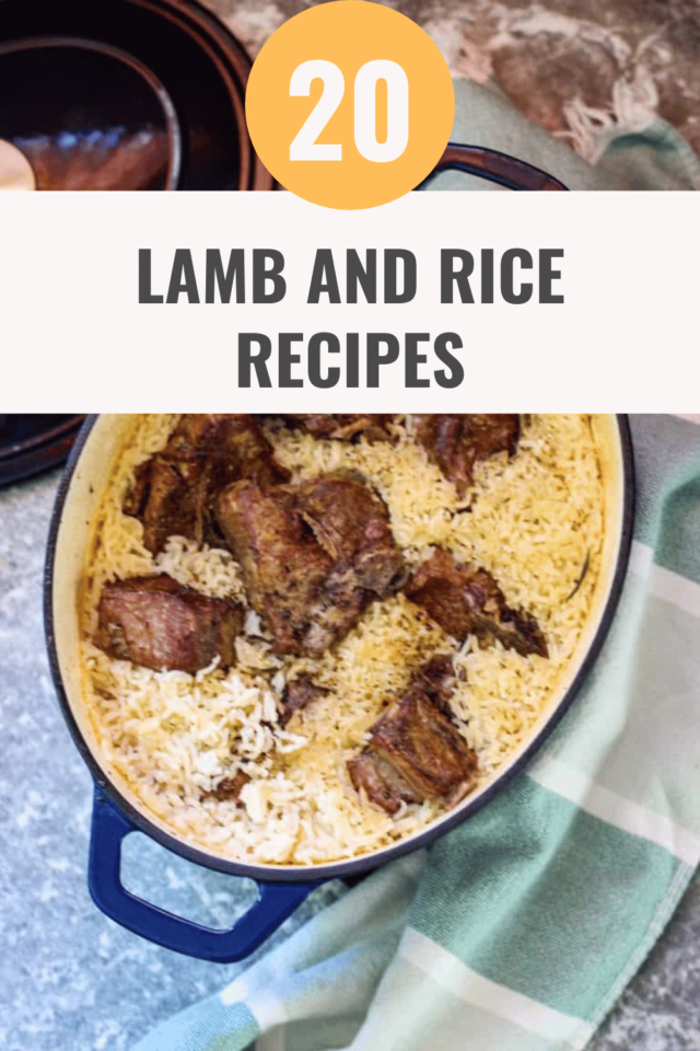 20 Delicious Lamb and Rice Recipes for Every Occasion - Happy Muncher