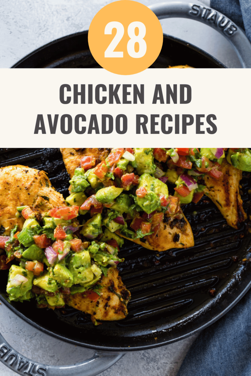 28 Tasty Chicken and Avocado Recipes That Taste Incredible - Happy Muncher