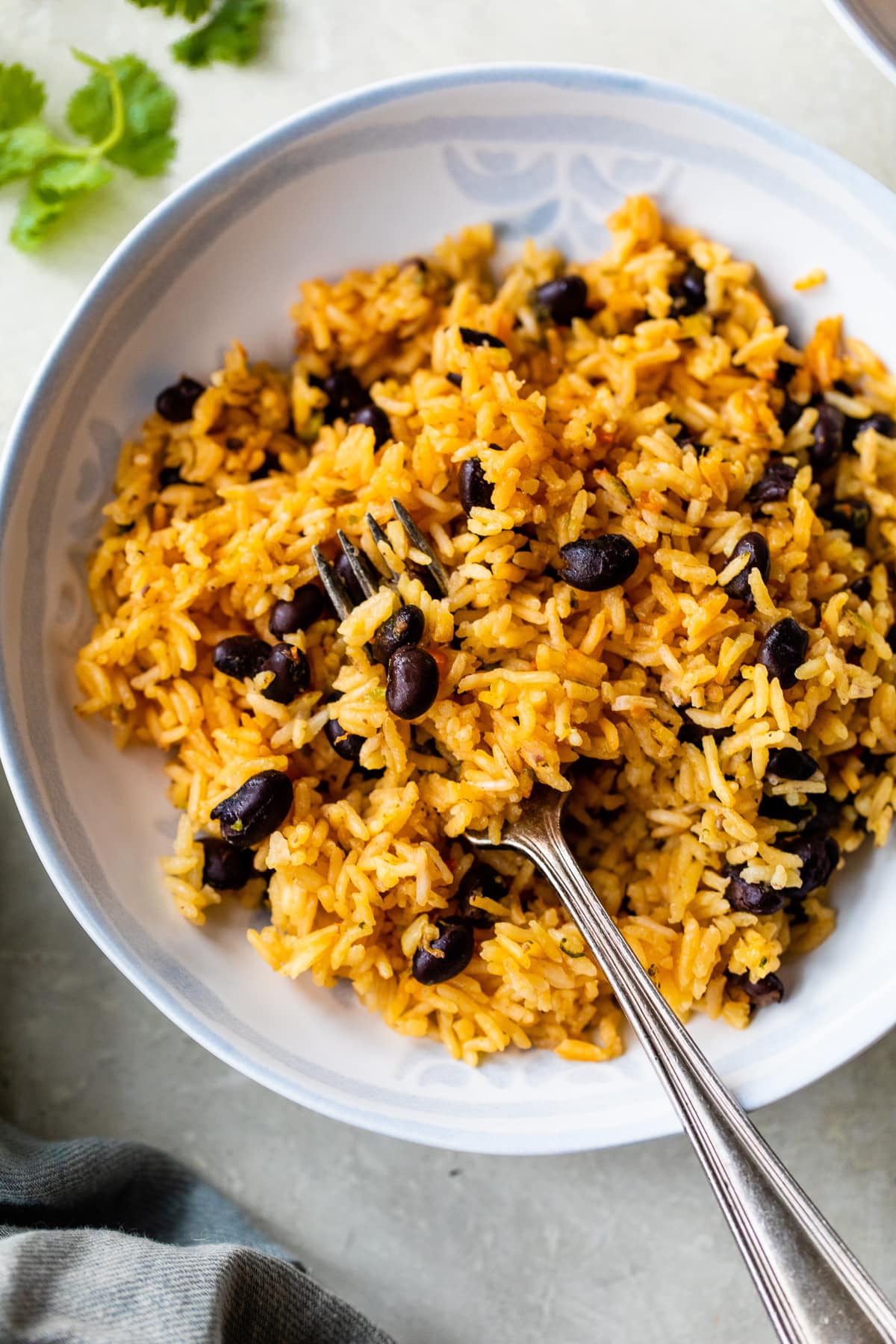 The 10 Best Types of Rice for Rice and Beans - Happy Muncher