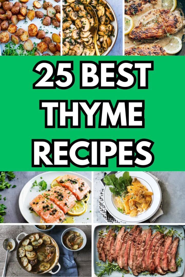 25 Timeless Thyme Recipes for Flavorful Feasts - Happy Muncher