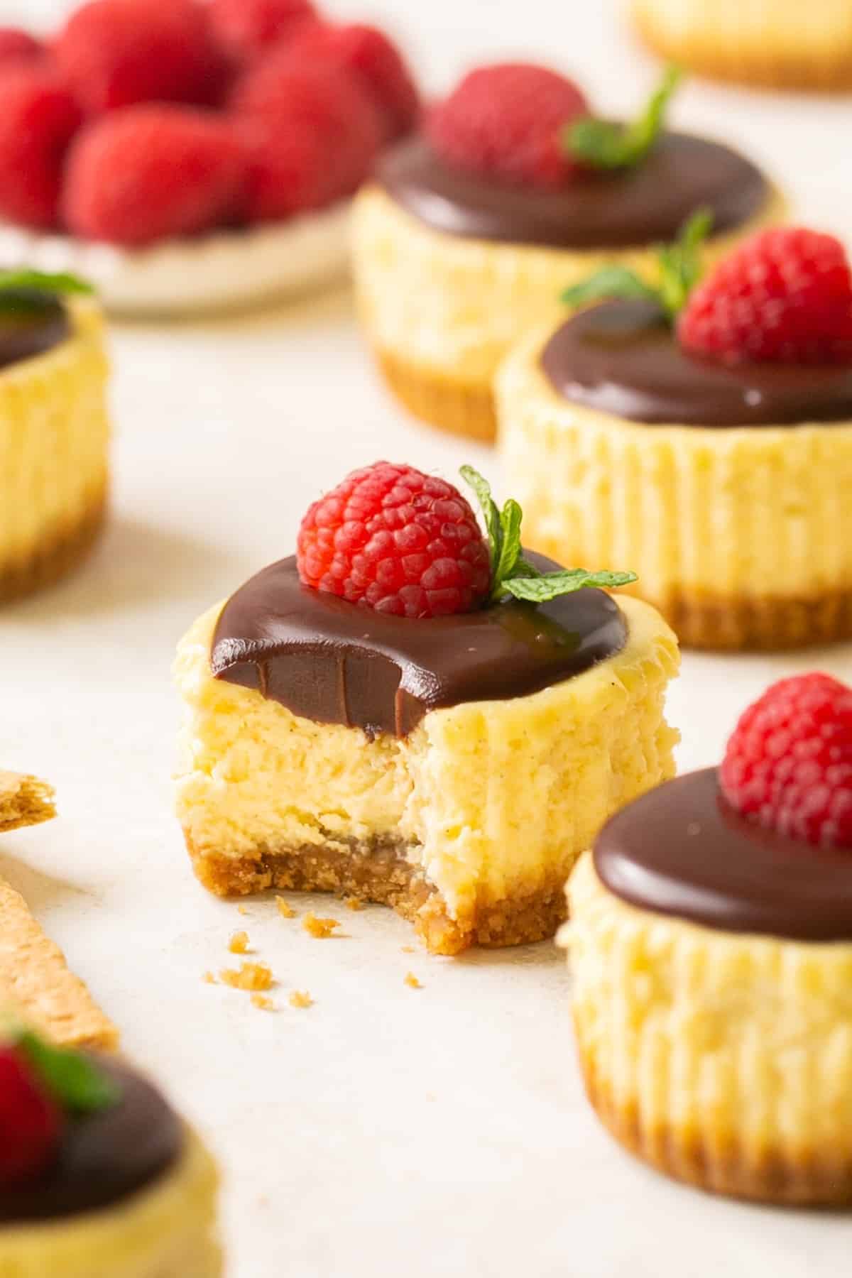 Cheesecake Bites Recipe - Happy Muncher