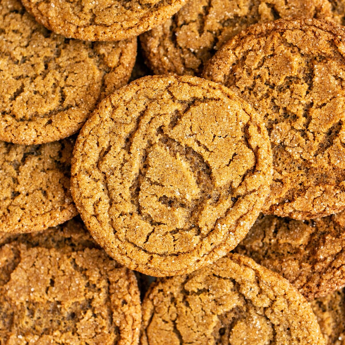 Crispy Ginger Snaps Recipe - Happy Muncher