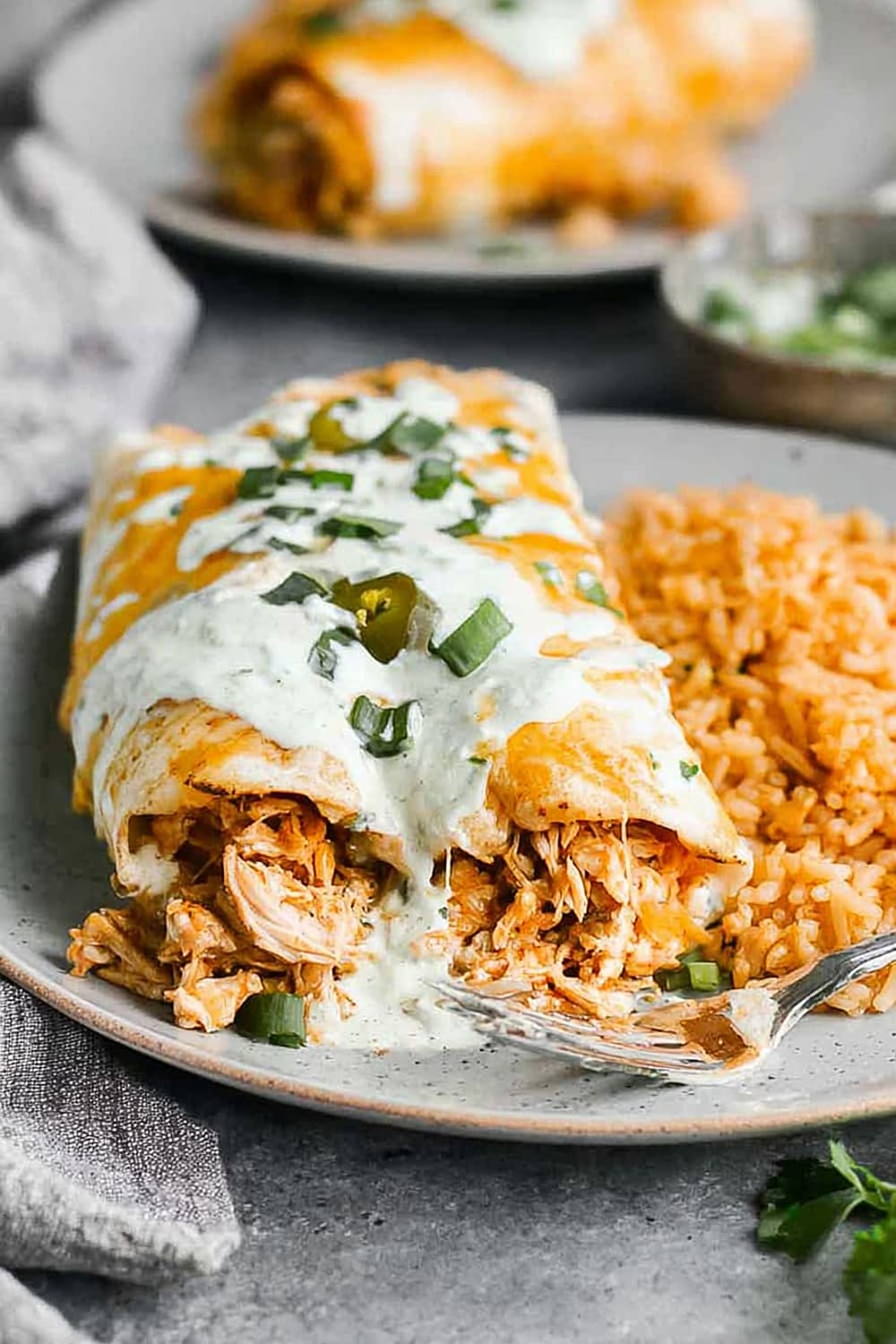 Pollo Fundido - Happy Muncher