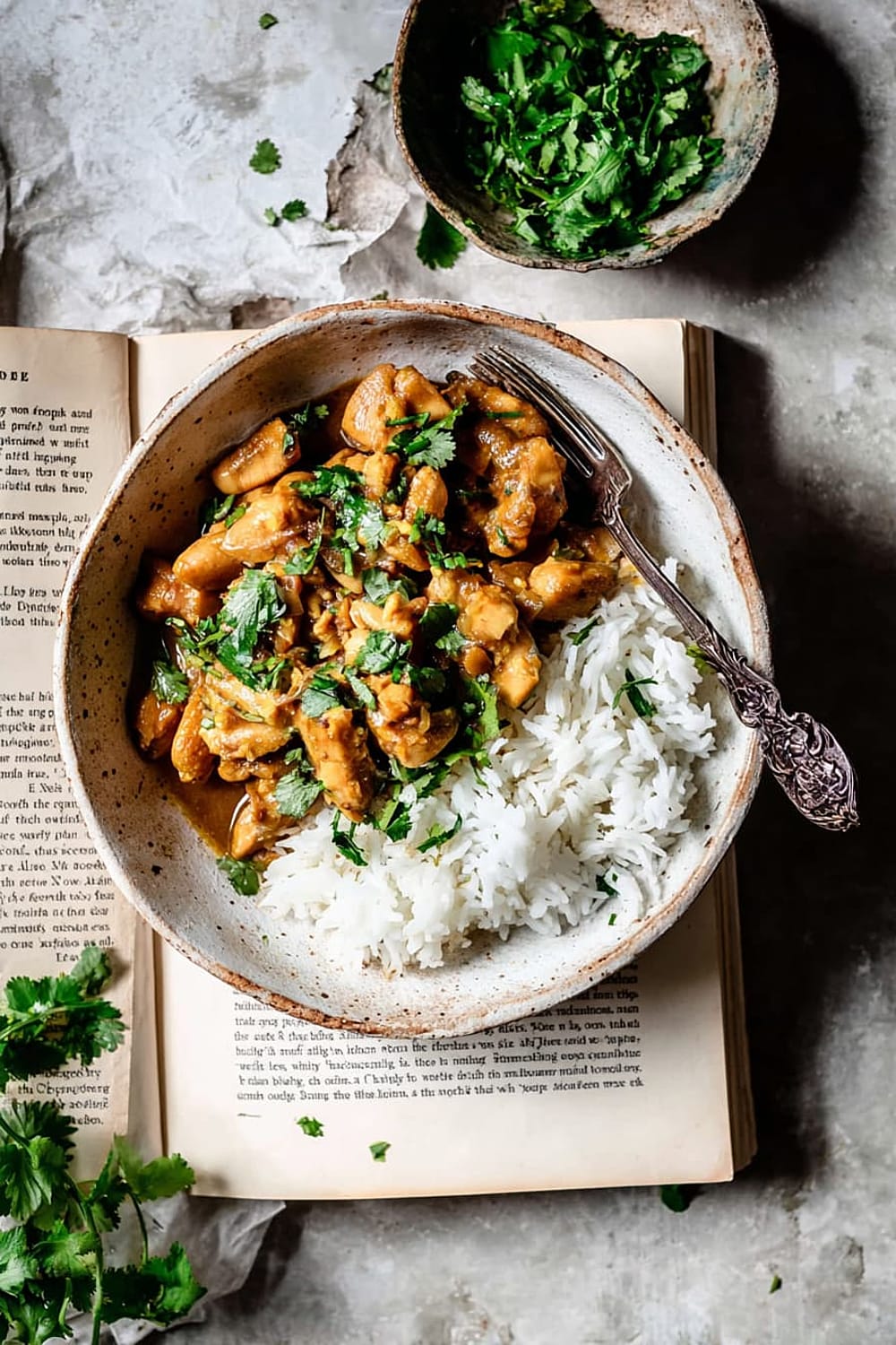Quick Burmese Chicken Curry - Happy Muncher