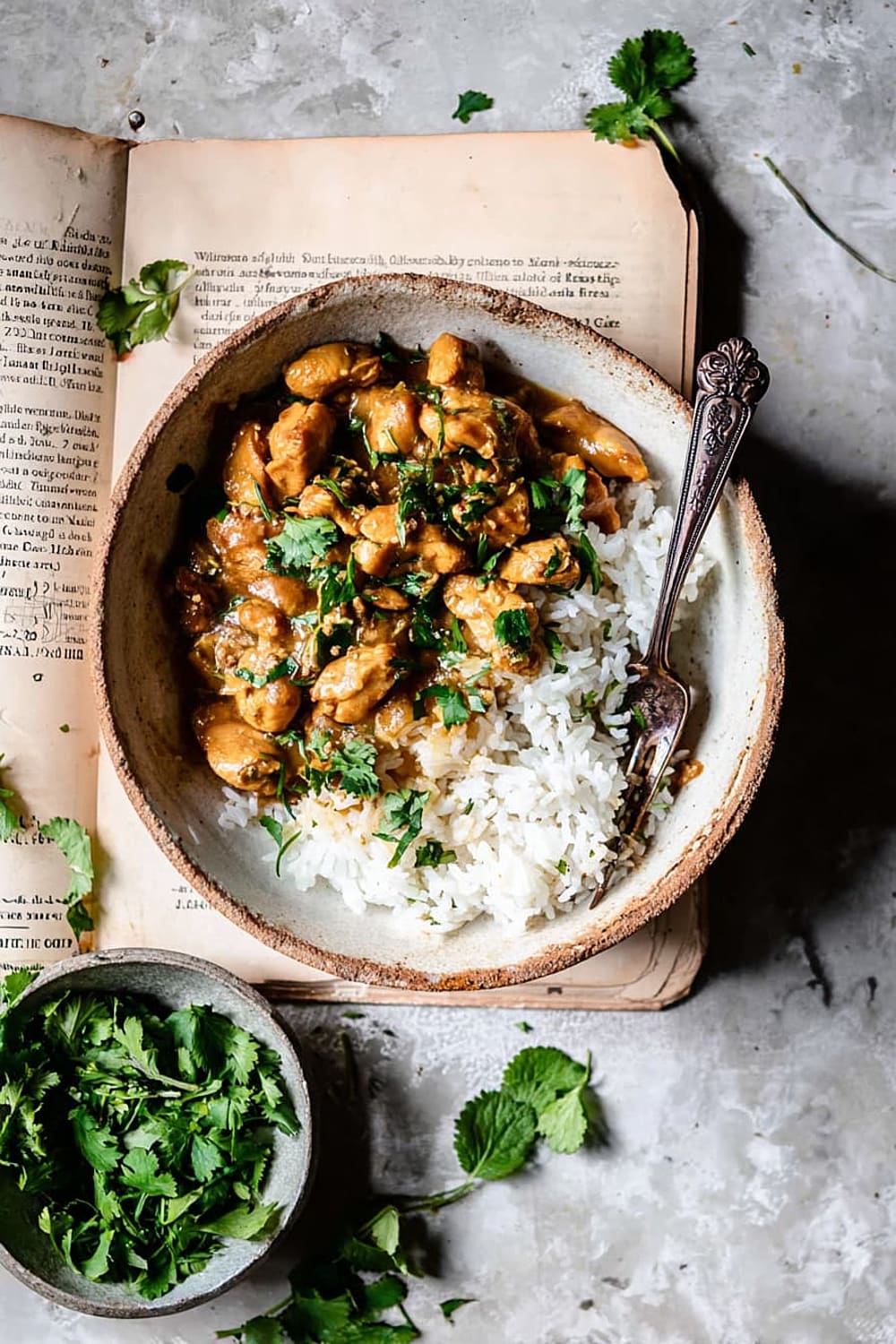 Quick Burmese Chicken Curry - Happy Muncher